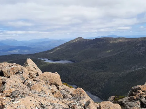 10 Best Hikes and Trails in Mount Field National Park | AllTrails