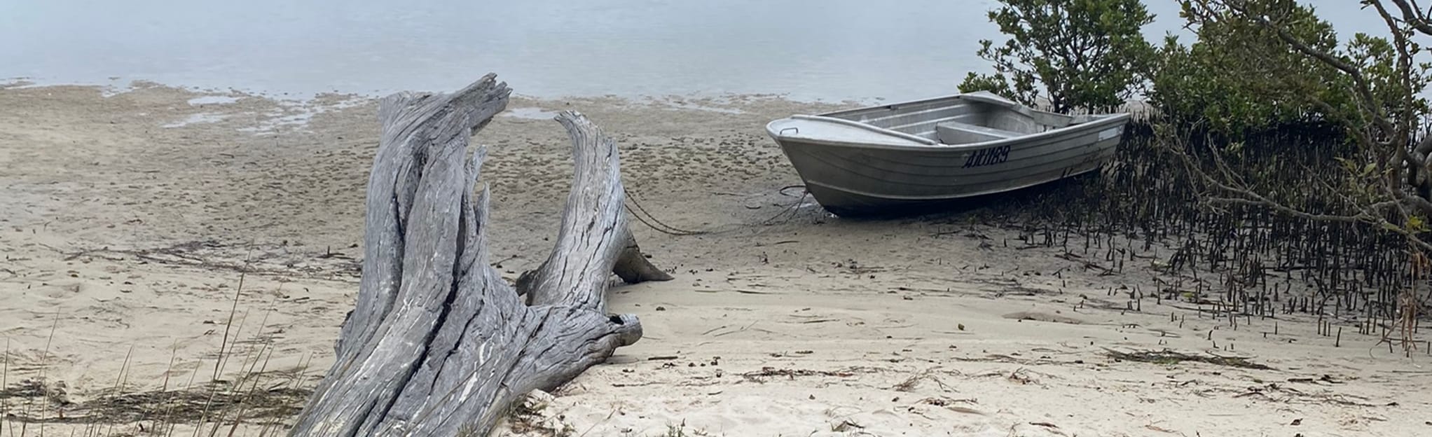 Merimbula Boardwalk, New South Wales, Australia - 97 Reviews, Map ...