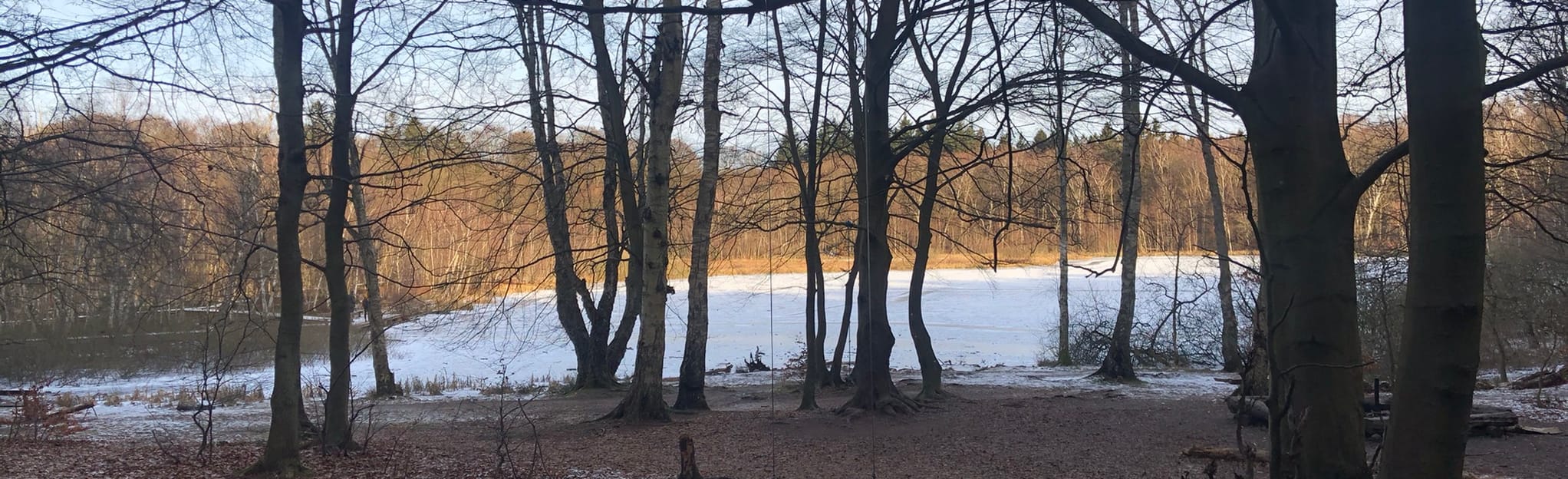 Vedbæk, Grisestien og Bøllemosen Cykelsti Rundt - Capital Region of ...