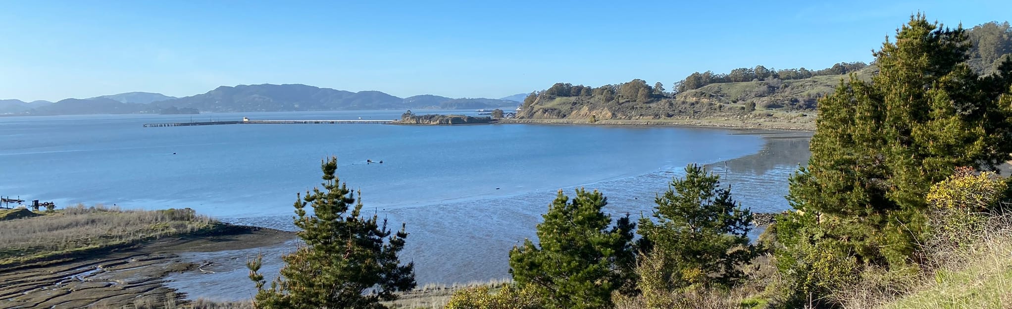 Point Richmond to Point San Pablo: 65 foto - California | AllTrails