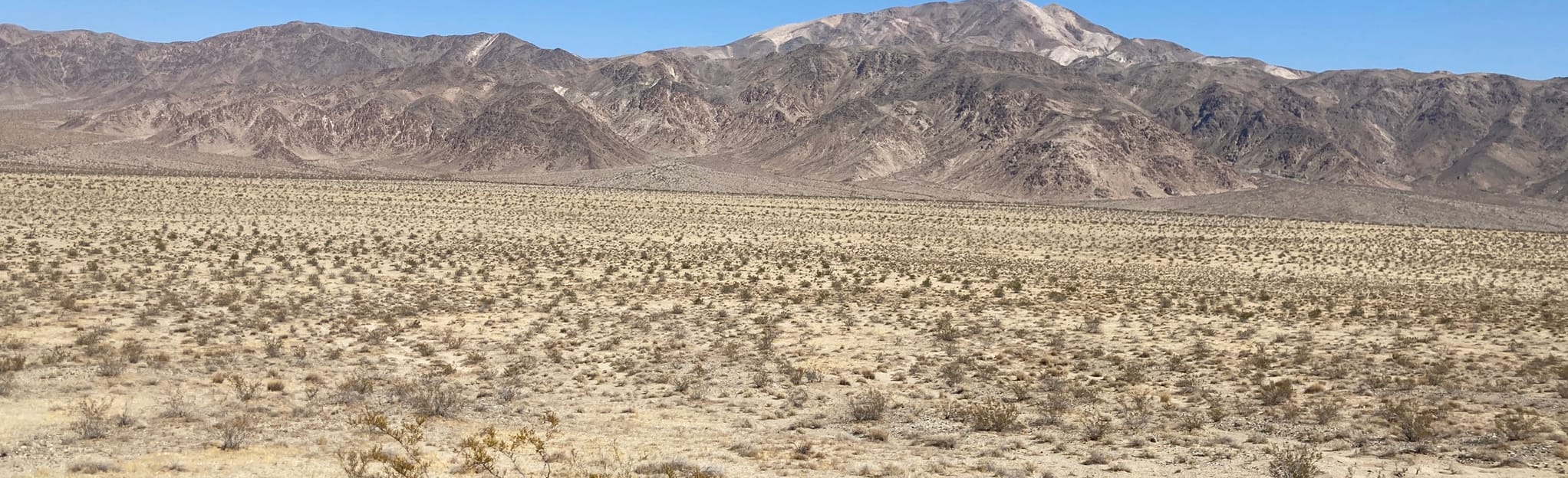 Turkey Flats Sand Dunes: 13 Reviews, Map - California | AllTrails