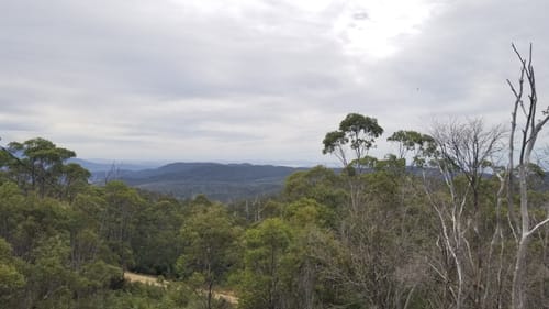 Best Hikes and Trails in Snug Tiers Nature Recreation Area | AllTrails