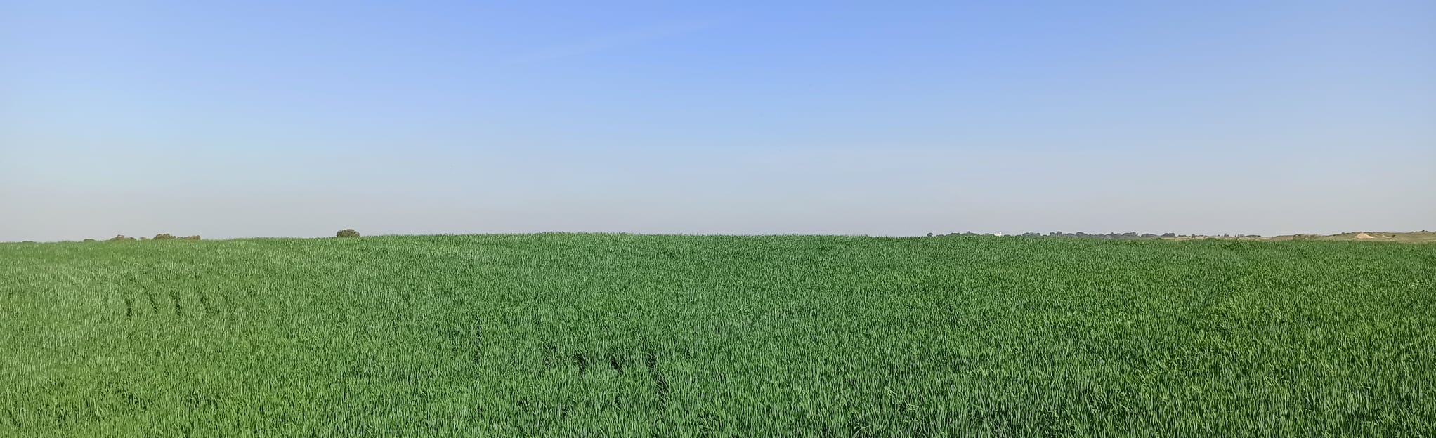 Beeri Forest, Founders Grove, Besor River and Nahal Grar, Southern ...