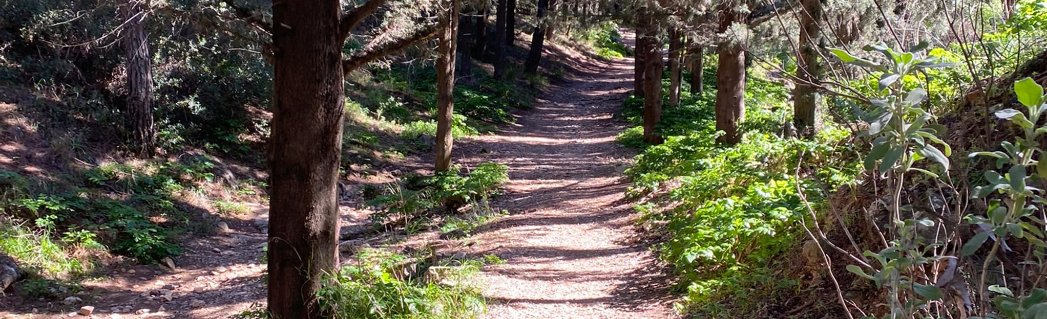 Alsos Ilision Park - Kalopoula Erfrischungsgebiet: 21 Fotos - Attica ...