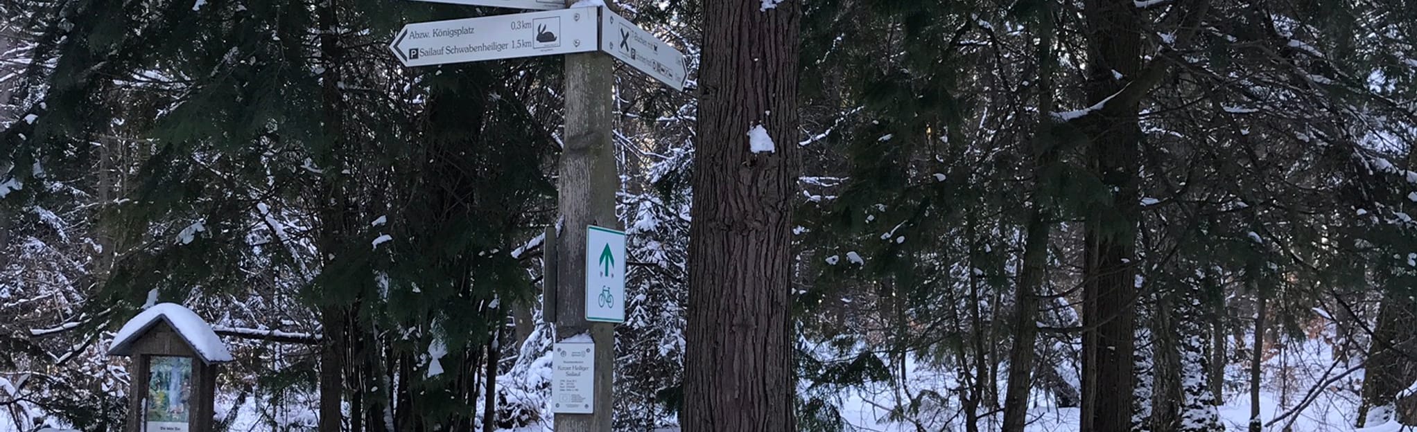 Sailauf Rundwanderweg 6, Bavaria, Germany - 3 Reviews, Map | AllTrails