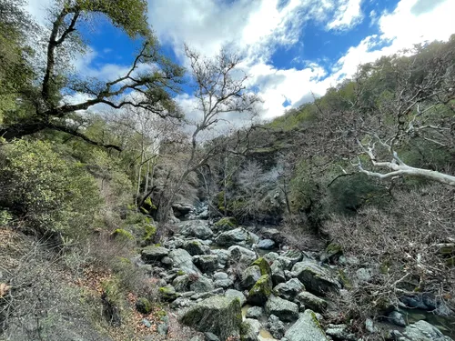 10 Best Hikes and Trails in Sunol Wilderness Regional Preserve | AllTrails