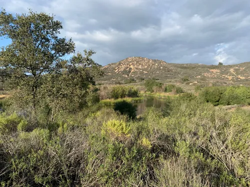 Best Kid Friendly Trails in Daley Ranch | AllTrails