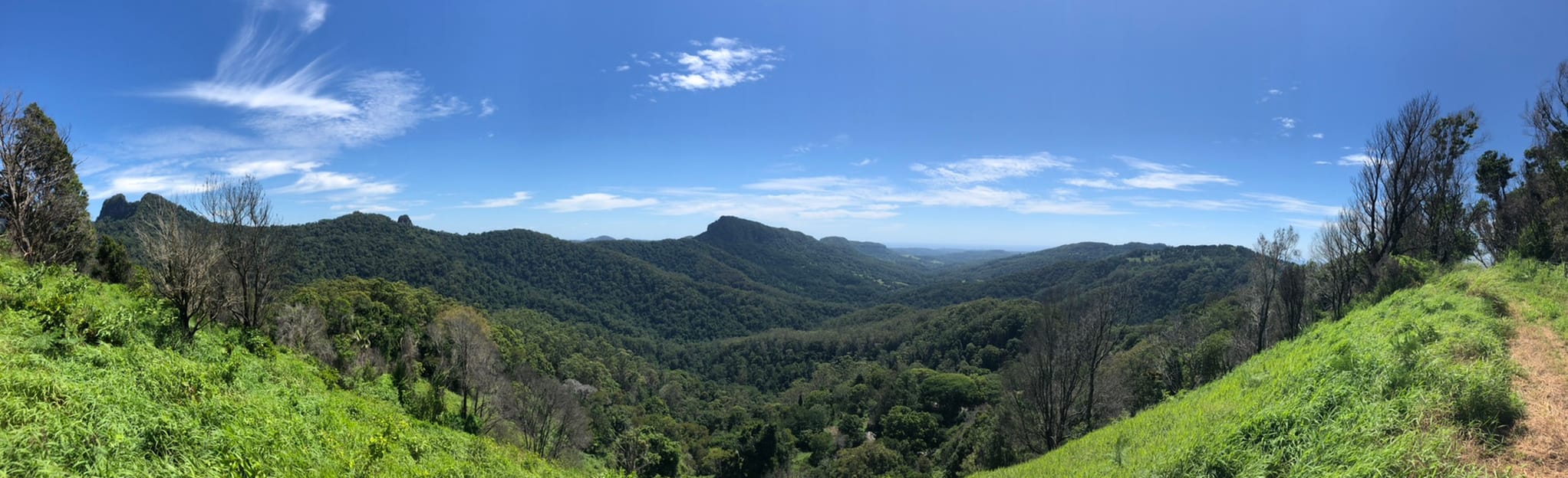 Mount Cougal, New South Wales, Australia - 282 Reviews, Map | AllTrails