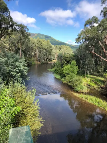 10 Best Trails and Hikes in Bright | AllTrails