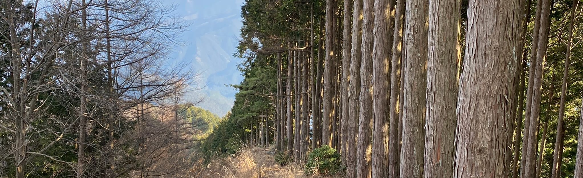 AllTrails | Mount Akaguna - Mount Kawanori - Mount Honita: 2 Reviews ...