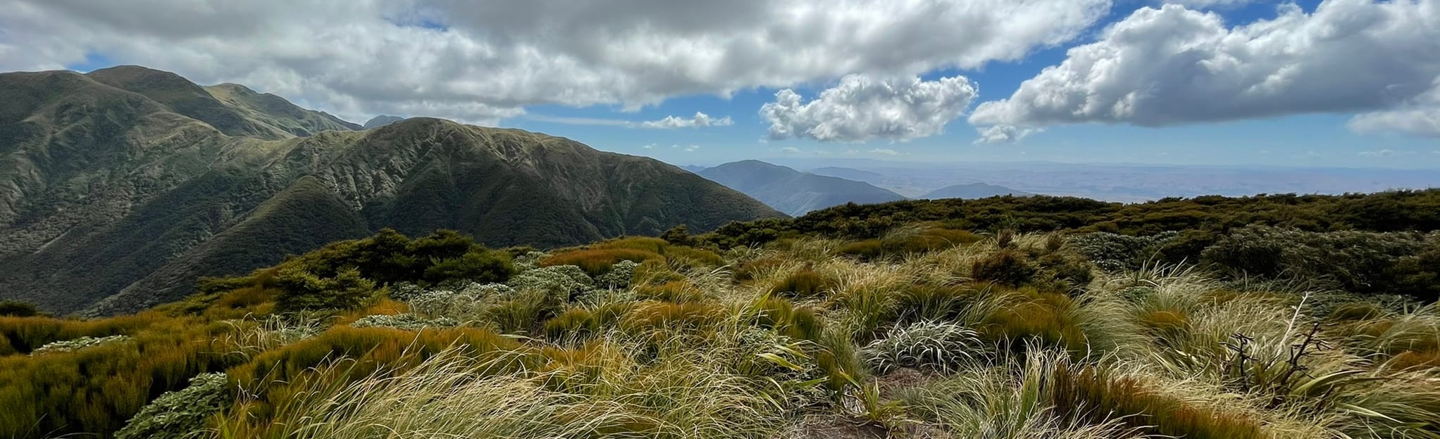 Jumbo Hut to Powell Hut, Wellington, New Zealand - 2 Reviews, Map ...