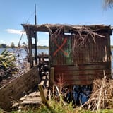 Kainui Lake Loop, Waikato, New Zealand - 99 Reviews, Map | AllTrails