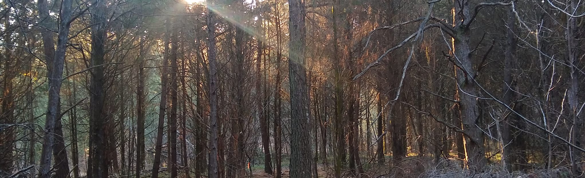 Saunders Springs Nature Preserve Loop, Kentucky - 330 Reviews, Map ...