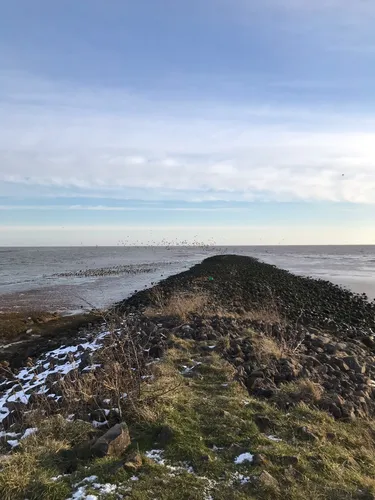 Best Hikes and Trails in Frampton Marsh Nature Reserve | AllTrails