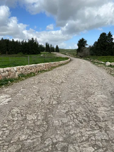 10 Best Trails and Hikes in Yokneam Ilit | AllTrails