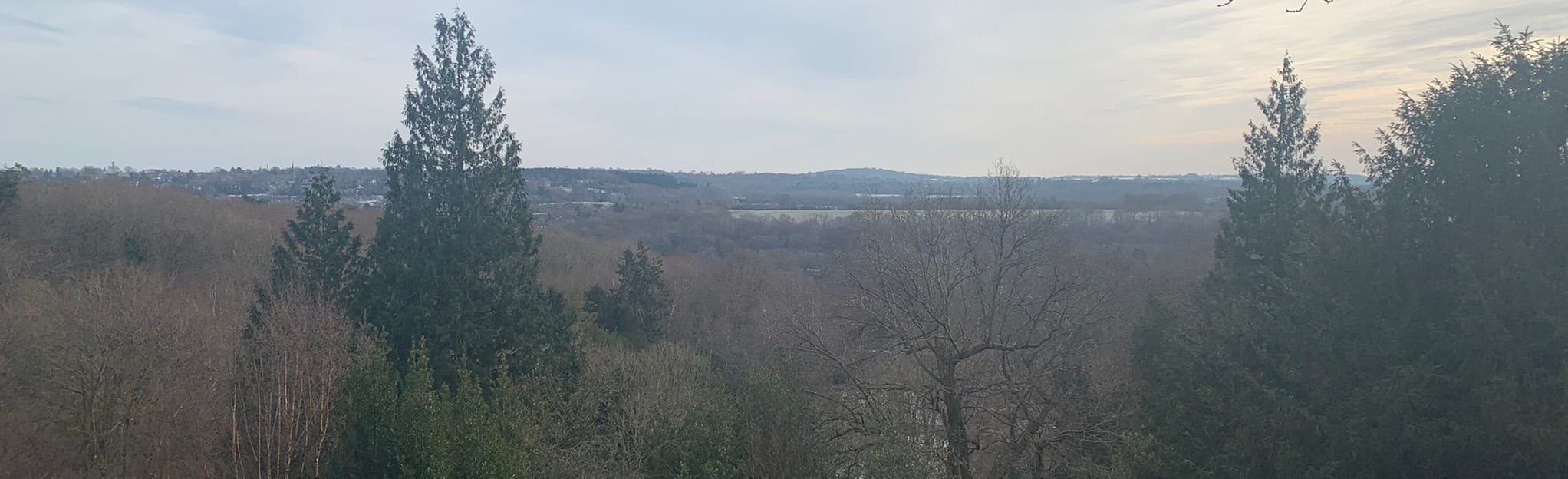 Rusthall Common Circular: 20 Reviews, Map - Kent, England | AllTrails