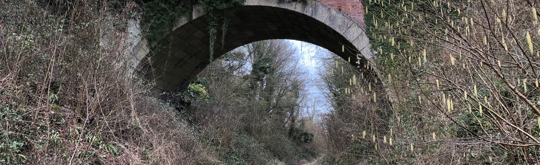 River Meon and Beacon Hill Circular: 534 foto's - Hampshire, Engeland ...