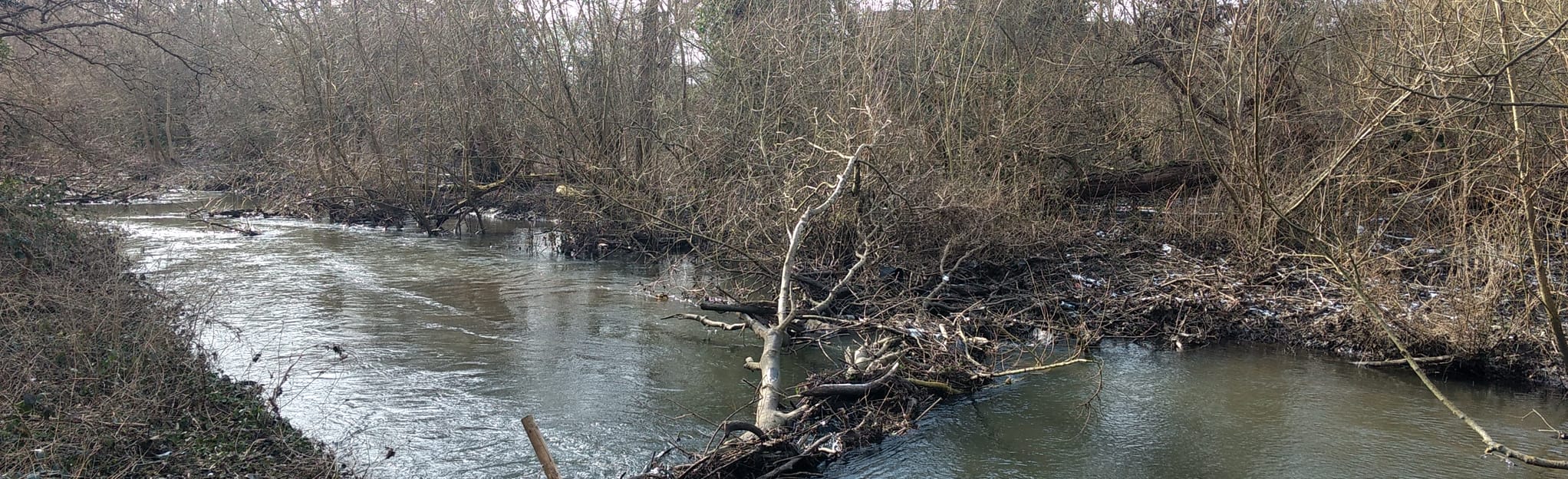 Crane Park and Pevensey Road Nature Reserve - London, England | AllTrails