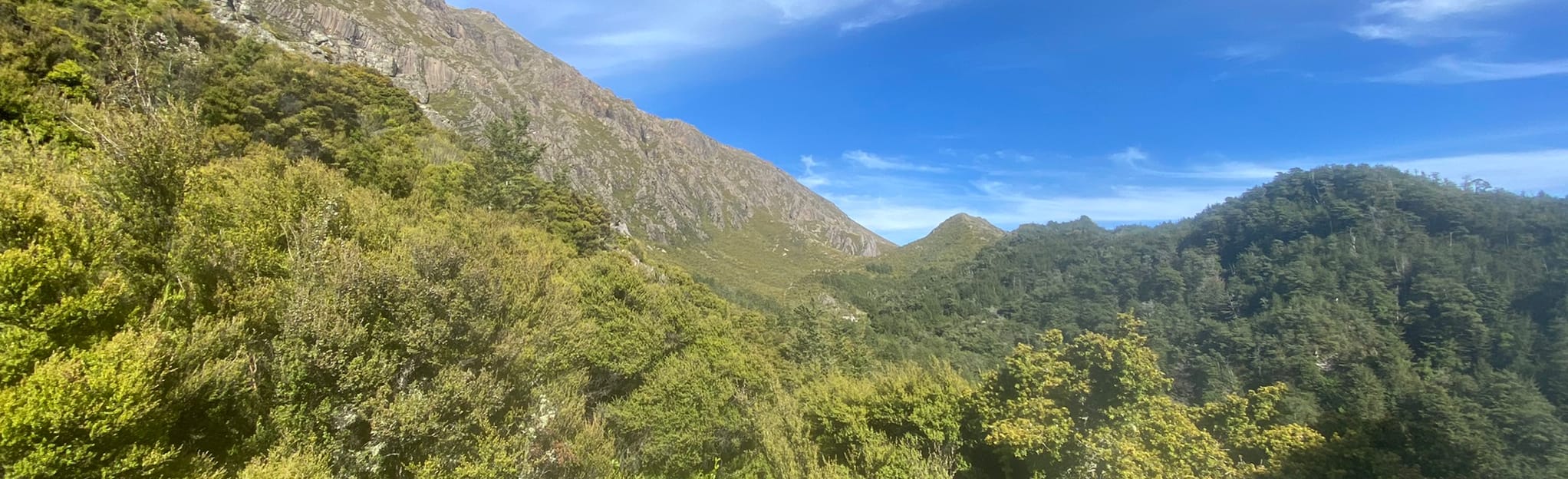 Mount Somers Track to Woolshed Creek Hut via Pinnacles Hut: 13 Reviews ...