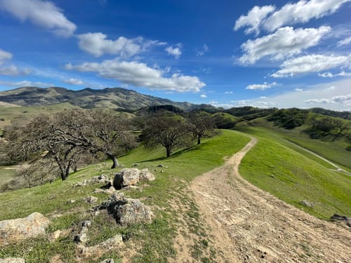 Best 10 Hikes and Trails in Diablo Foothills Regional Park | AllTrails