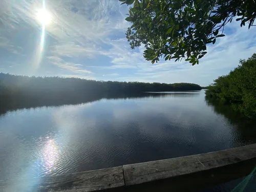 Best Hikes and Trails in Charlotte Harbor Preserve State Park | AllTrails