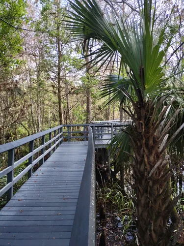 Best Hikes and Trails in Fern Forest Nature Center | AllTrails
