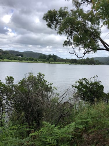 2023 Best 10 Moderate Trails in Dharug National Park | AllTrails