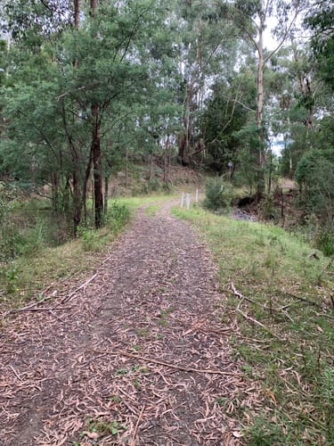 Best Hikes and Trails in Upper Beaconsfield Conservation Reserve | AllTrails