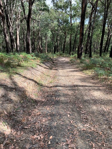 Best Hikes and Trails in Upper Beaconsfield Conservation Reserve ...