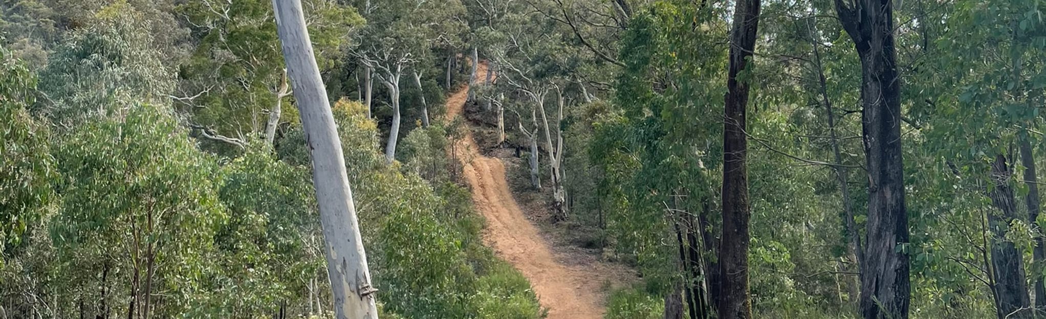 Masters Track, Mitchell’s Track and Jameson Firebreak Loop: 2 Reviews ...