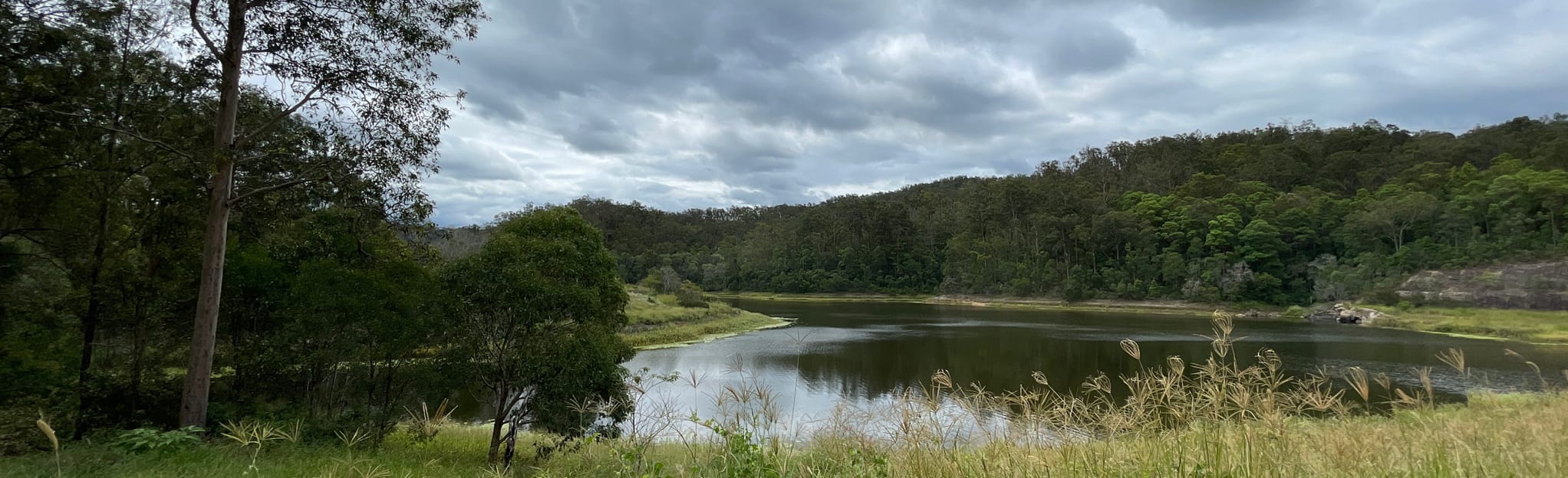 Pinnacles Loop, Queensland, Australia - 187 Reviews, Map | AllTrails