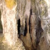 Waitomo Walkway, Waikato, New Zealand - 67 Reviews, Map | AllTrails