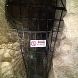 Waitomo Walkway, Waikato, New Zealand - 67 Reviews, Map | AllTrails