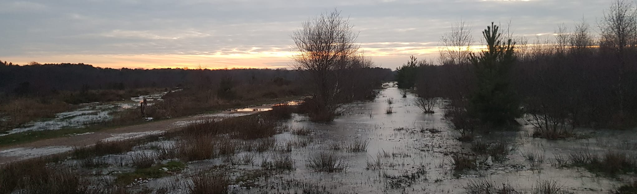 Stoke Common and Frame Wood Circular: 9 Reviews, Map - Berkshire ...