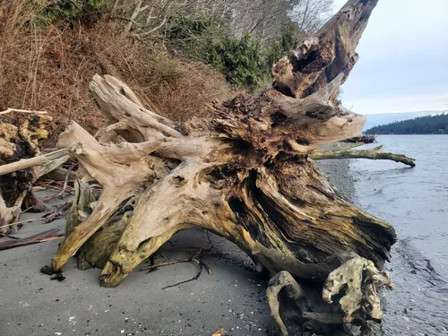 Best Hikes and Trails in Port Ludlow | AllTrails