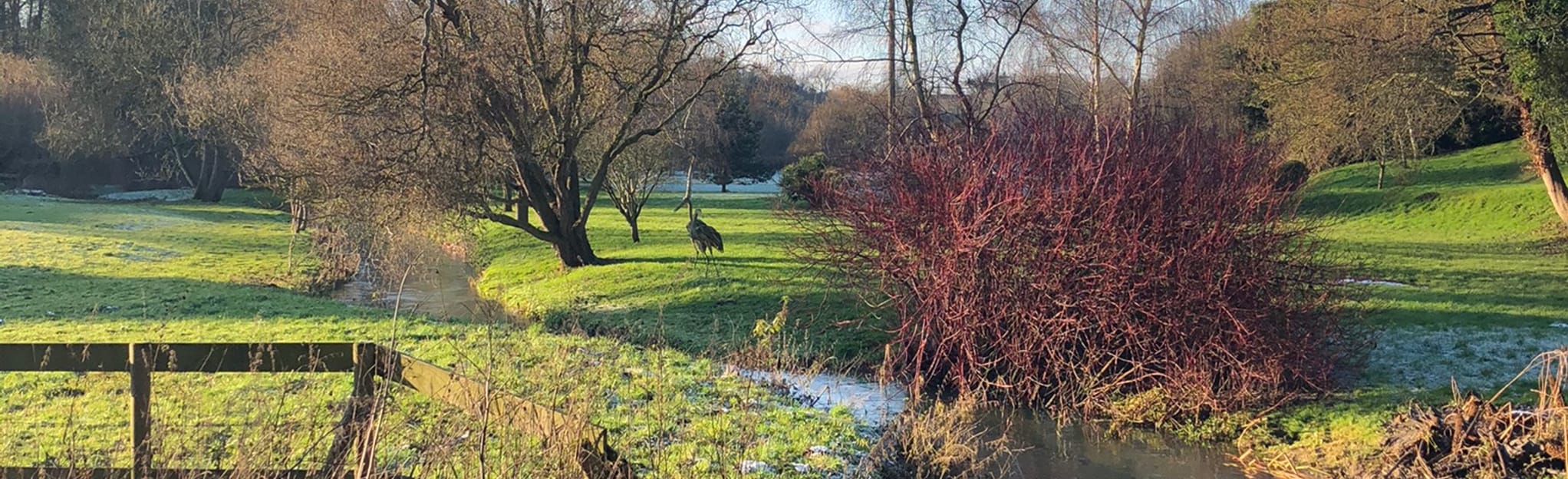 Wentbridge to Smeaton Circular, West Yorkshire, England - 104 Reviews ...