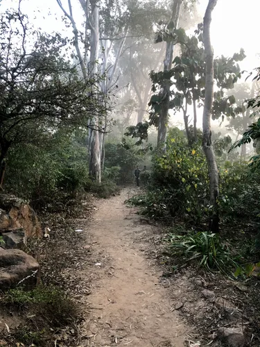 Best Hikes and Trails in Kamla Nehru Ridge | AllTrails