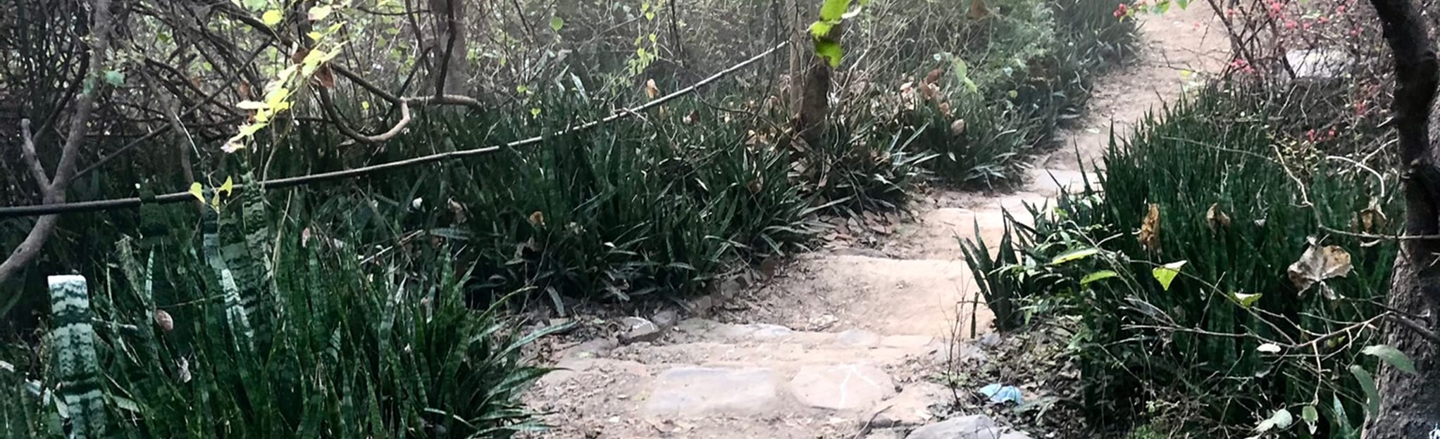 Chaubhurja Loop, Delhi, India - 2 Reviews, Map | AllTrails