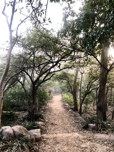 Best Hikes and Trails in Kamla Nehru Ridge | AllTrails