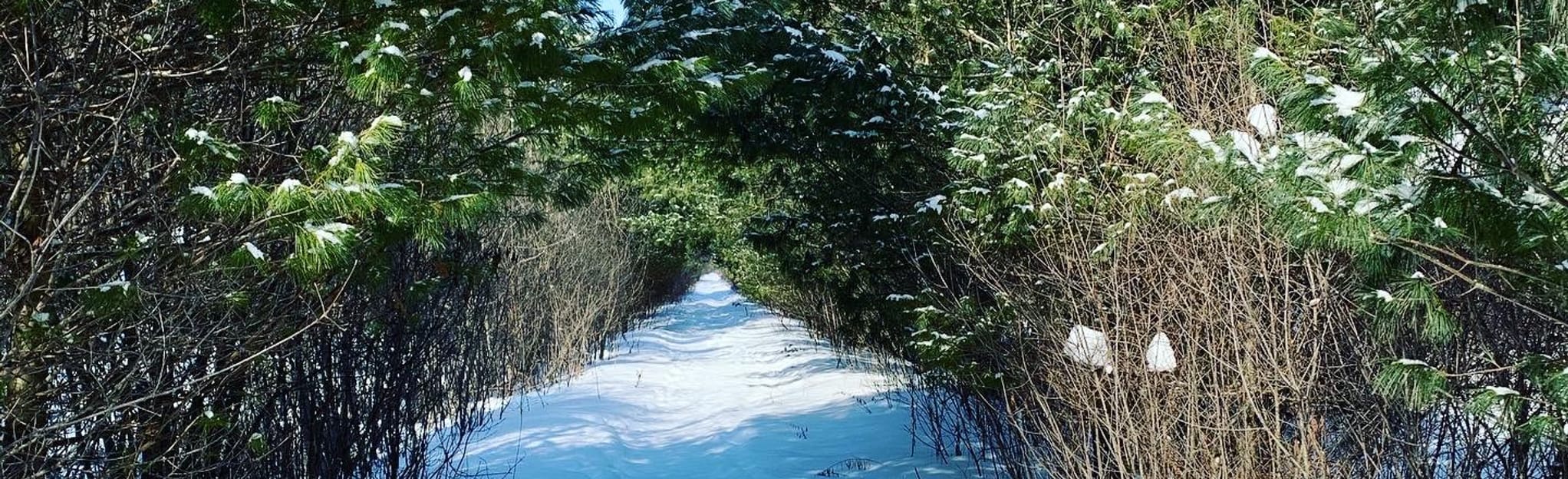 The Breezeway Loop, Ontario, Canada - 43 Reviews, Map | AllTrails