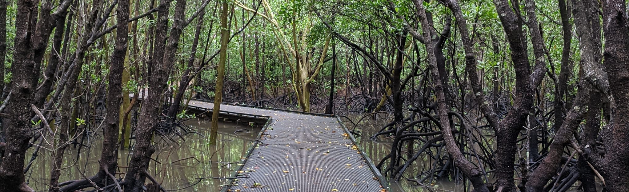 Lee Point Beach to Casuarina Nudist Beach: 23 Reviews, Map - Northern ...