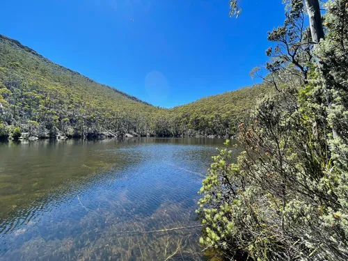 Best Hard Trails in Mount Field National Park | AllTrails