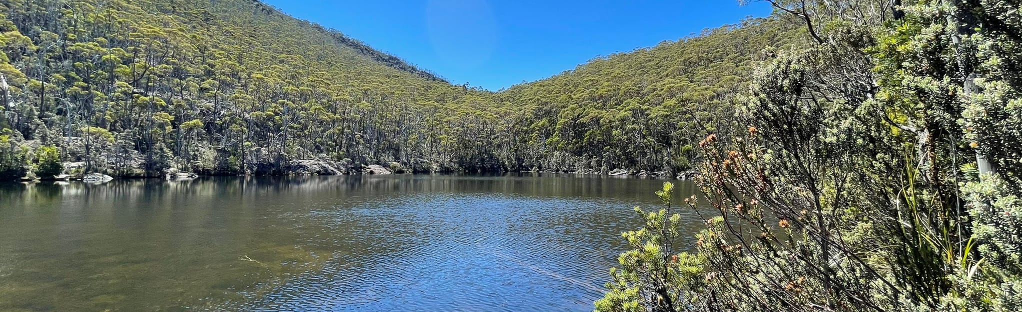 Mount Field East, Tasmania, Australia - 6 Reviews, Map | AllTrails