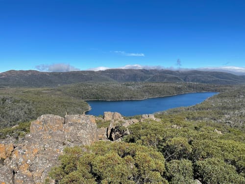Best 10 Hikes and Trails in Mount Field National Park | AllTrails