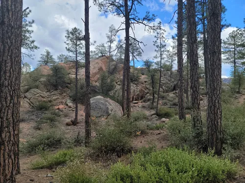 10 Best Trails and Hikes in Payson | AllTrails