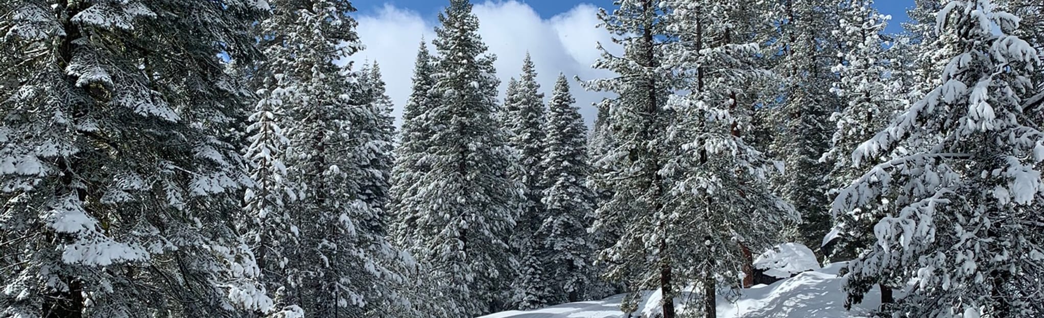 Union Reservoir Winter Route via Spicer Reservoir Road: 28 Reviews, Map ...