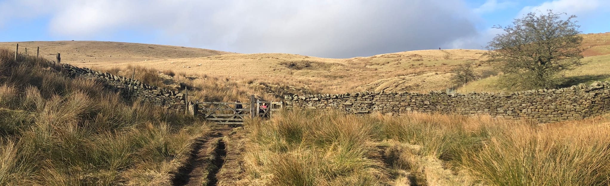 Spring Wood and Nick O'Pendle Loop: 214 foto's - Lancashire, Engeland ...