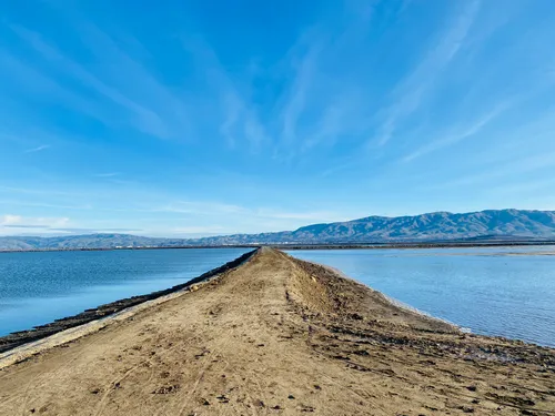 Best 10 Hiking Trails in Alviso Marina County Park | AllTrails