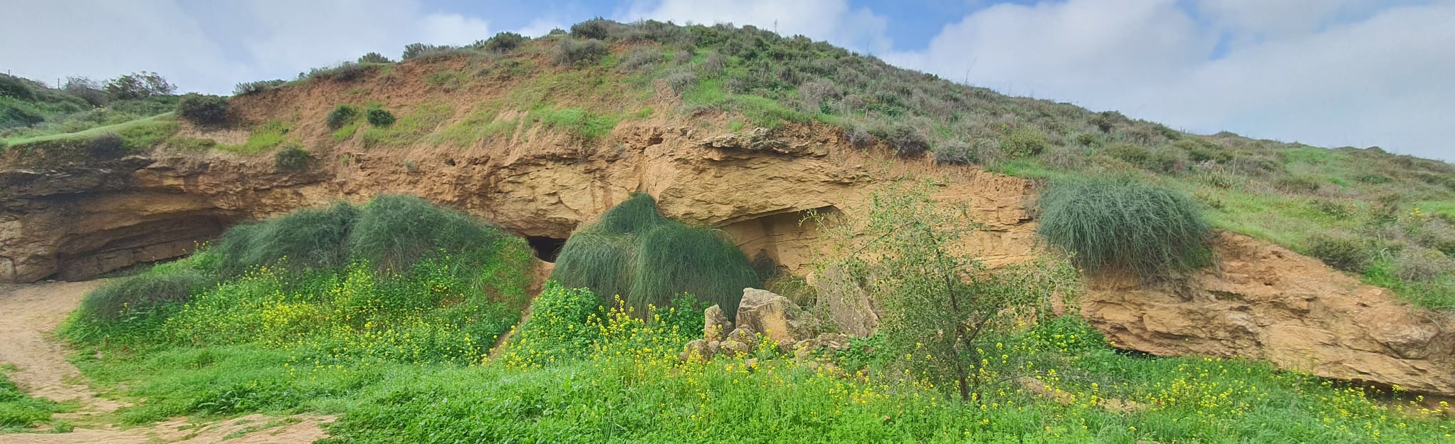 Gvar'am Forest, Southern District HaDarom, Israel - 9 Reviews, Map ...