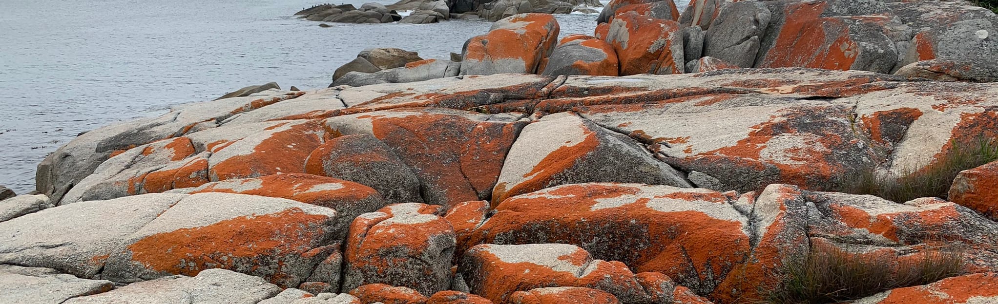 Skeleton Bay to Skeleton Point, Tasmania, Australia - 40 Reviews, Map ...